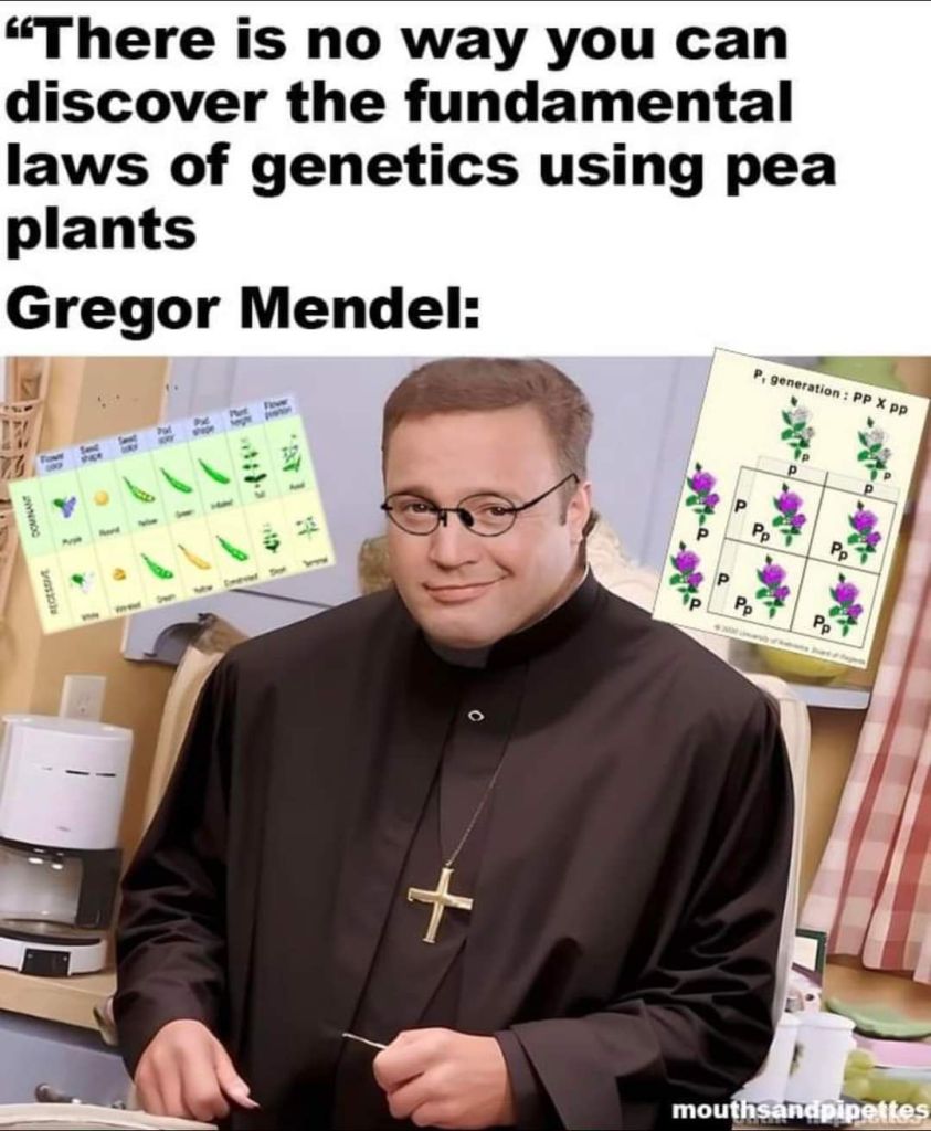 Catholic Meme Monday— Issue 125 - The Simple Catholic