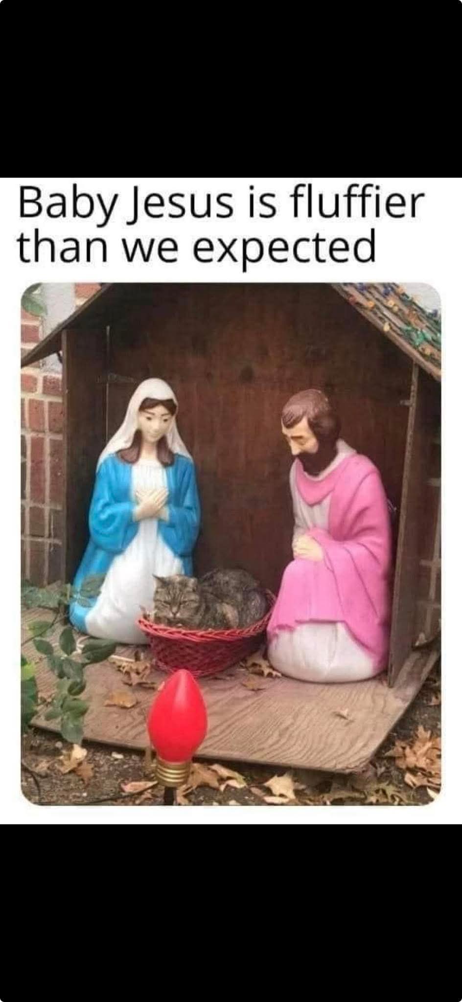 Catholic Meme Monday— Issue 210 - The Simple Catholic